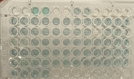 Unspecific Peroxygenases: nature’s versatile oxidation with a twist!!